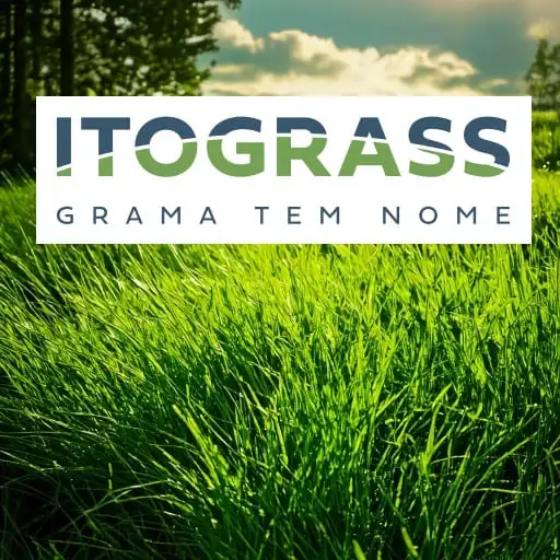 Gramas - BR Jardim e Paisagismo